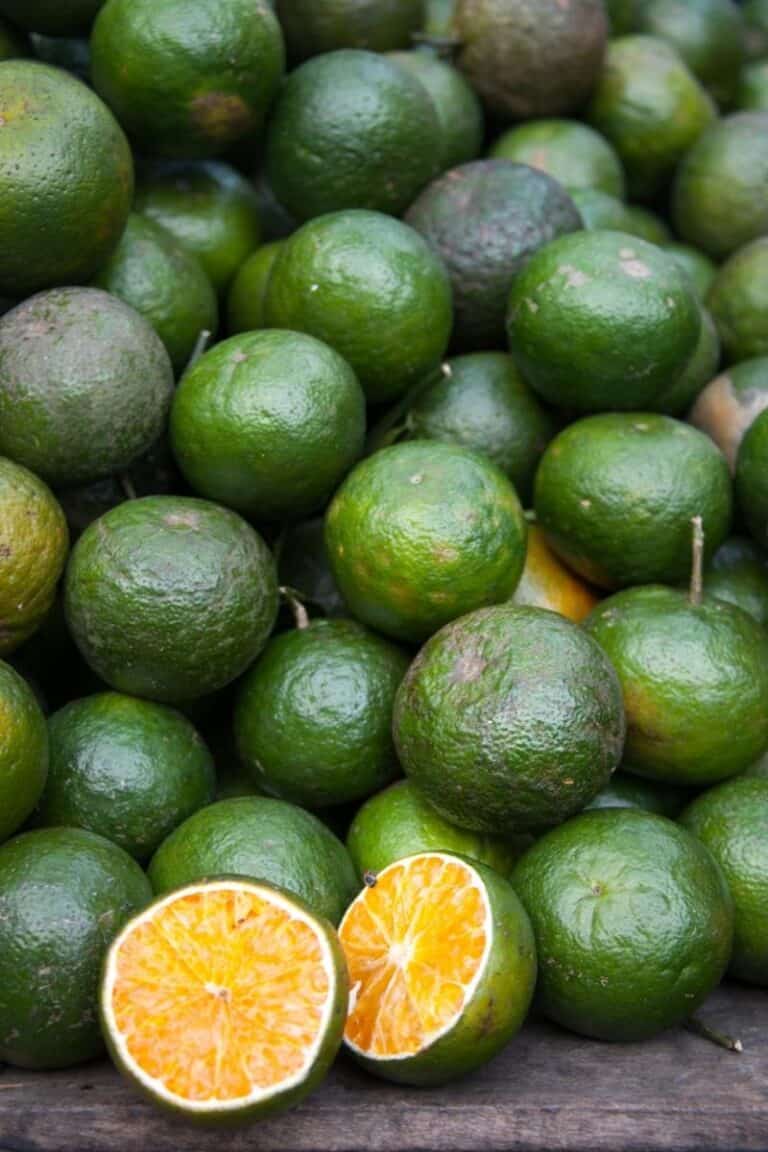 20 FUN Facts About Oranges That Will Amaze You!