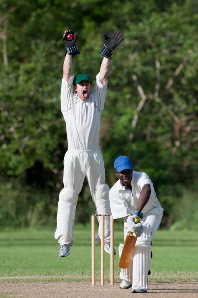 15 FUN Facts About Cricket That Will Amaze You! 15 FUN Facts About Cricket That Will Amaze You!