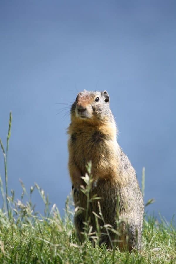 17 FUN Facts About February That Will Amaze You (2024 Facts)