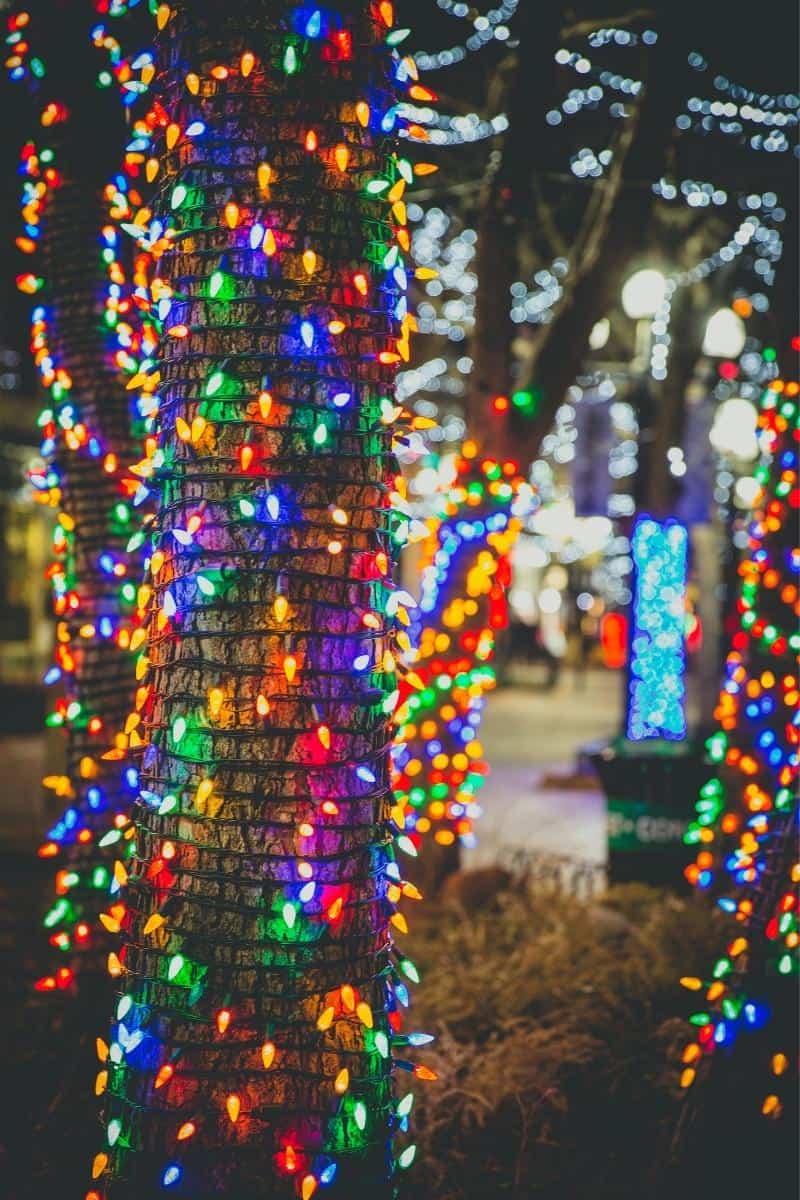 16 FUN Facts About December That Will Amaze You (2024 Facts)