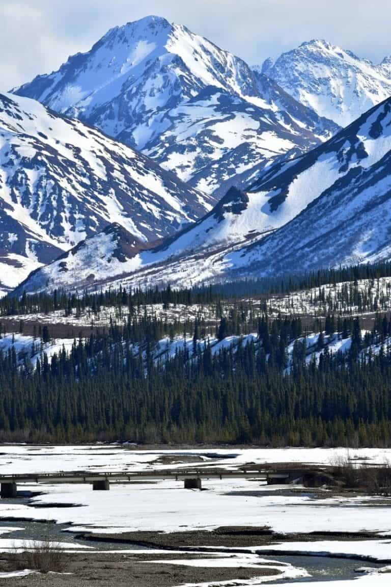 15 FUN Facts About January That Will Amaze You (2024 Facts)