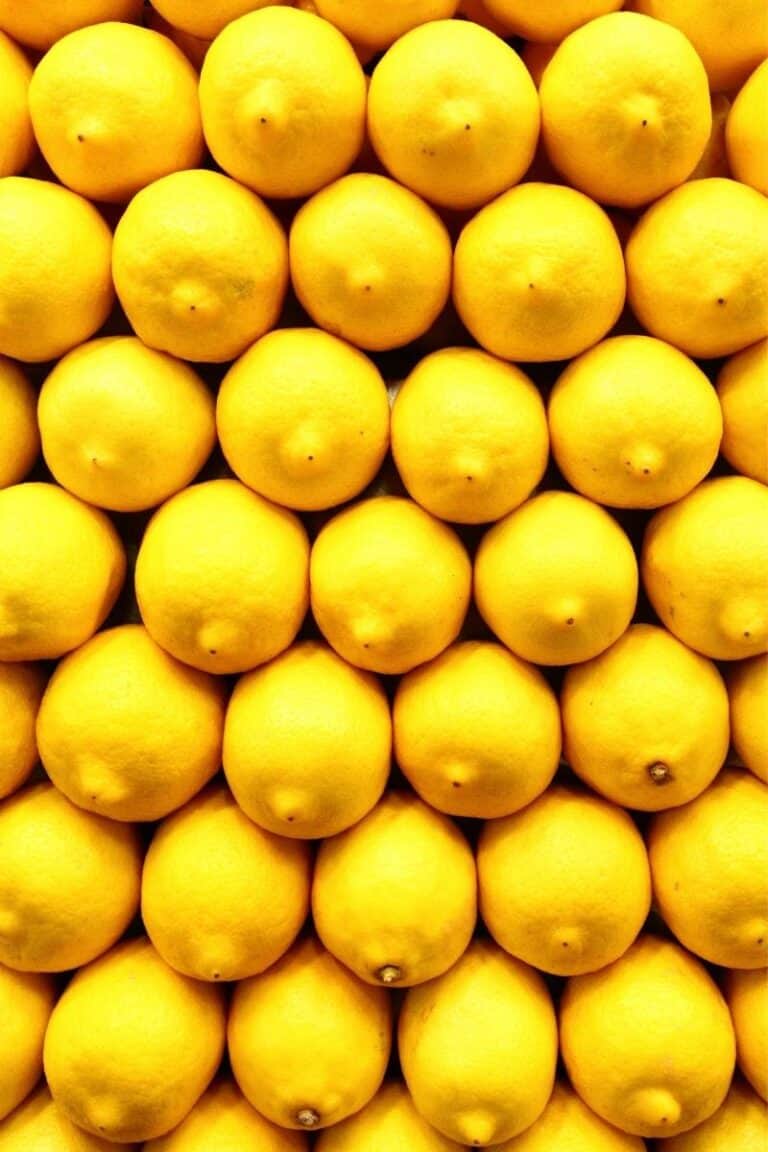 16 FUN Facts About Lemons That Will Amaze You!