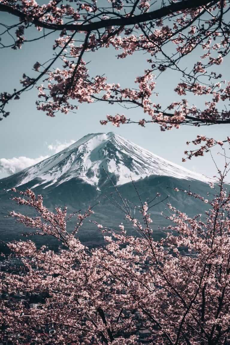 16 FUN Facts About December That Will Amaze You (2024 Facts)