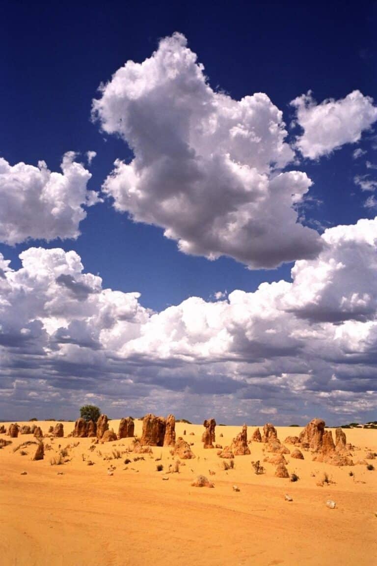 15 FUN Facts About January That Will Amaze You (2024 Facts)