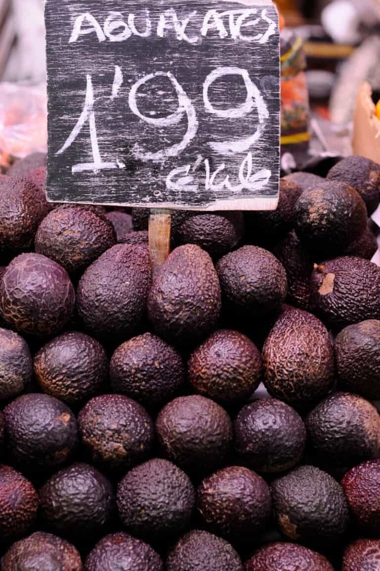 18 FUN Facts About Avocados That Will Amaze You!