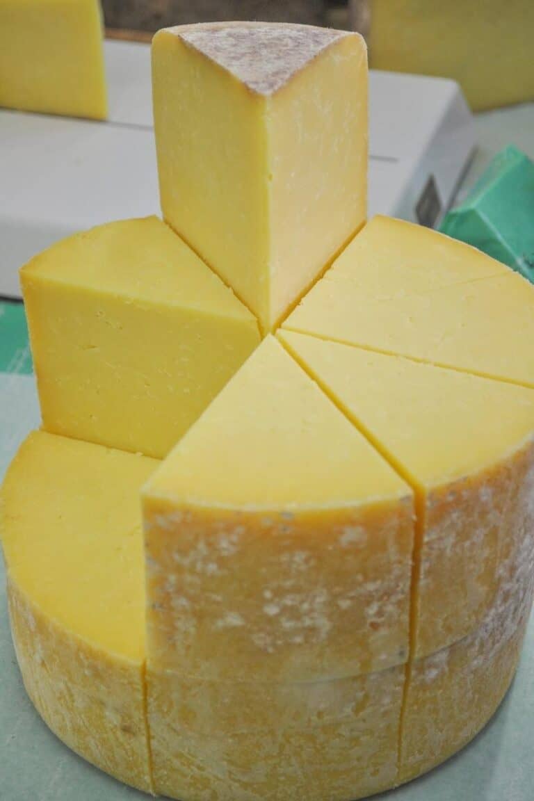 16 FUN Facts About Cheese That Will Amaze You!