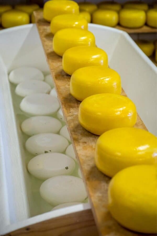 16 FUN Facts About Cheese That Will Amaze You!