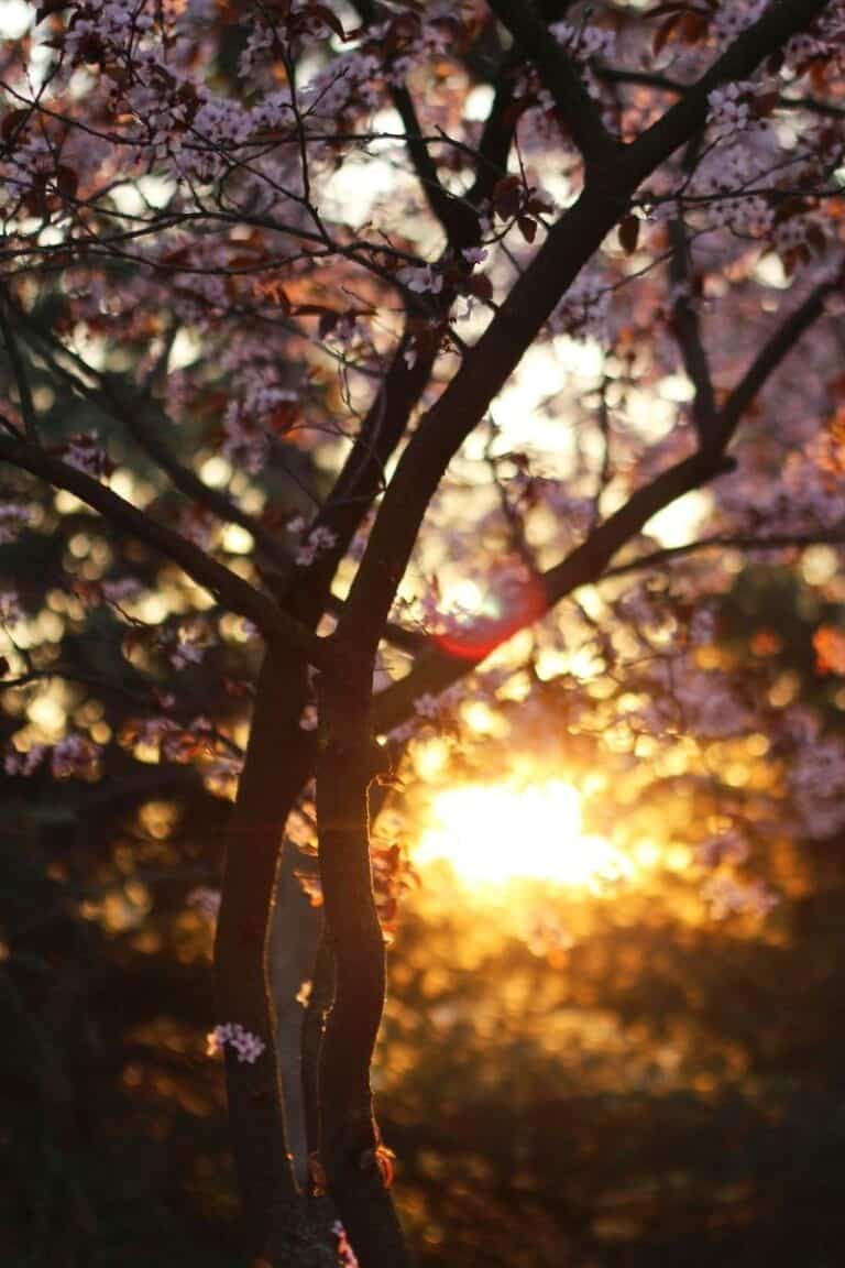 16 FUN Facts About April That Will Amaze You (2024 Facts)