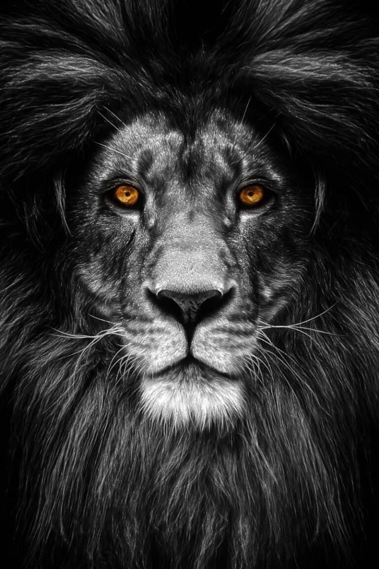 15 FUN Facts About Leo That Will Amaze You!