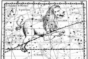 15 FUN Facts About Leo That Will Amaze You!