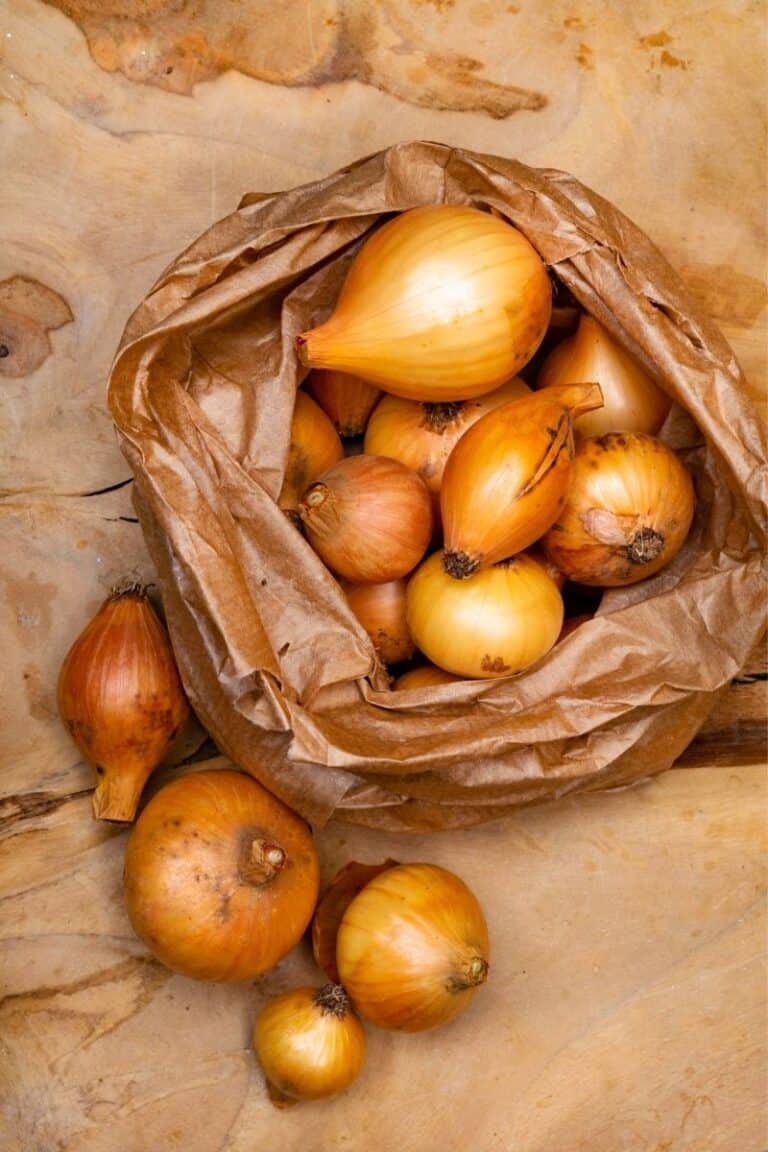 15 FUN Facts About Onions That Will Amaze You!