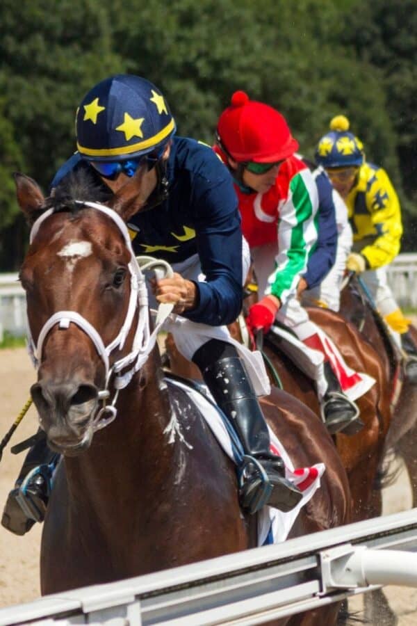 16 FUN Facts About May That Will Amaze You (2024 Facts)