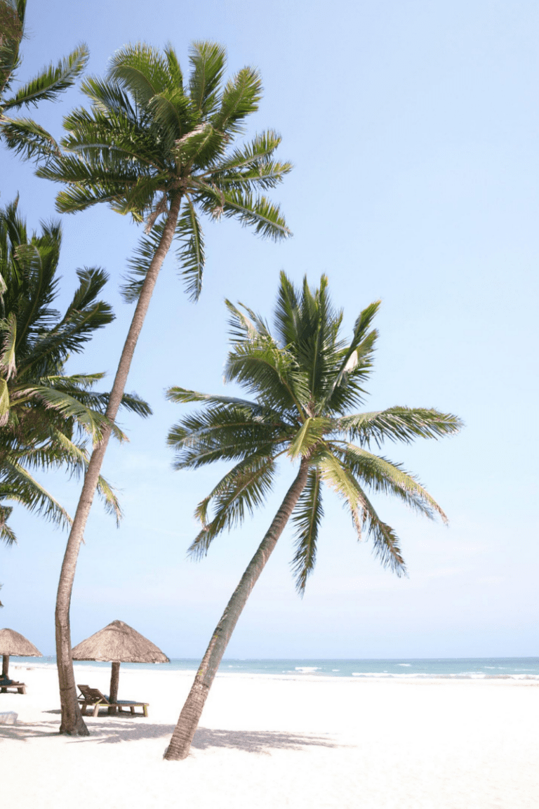 17 FUN Facts About July That Will Amaze You (2024 Facts)