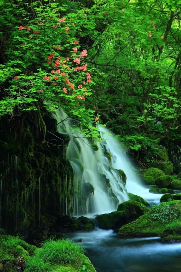 16 FUN Facts About April That Will Amaze You (2024 Facts)