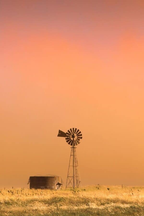 21 FUN Facts About Sunday That Will Amaze You!