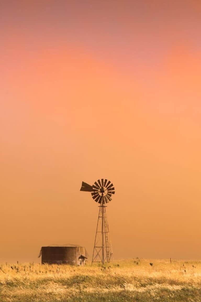 21 FUN Facts About Sunday That Will Amaze You!