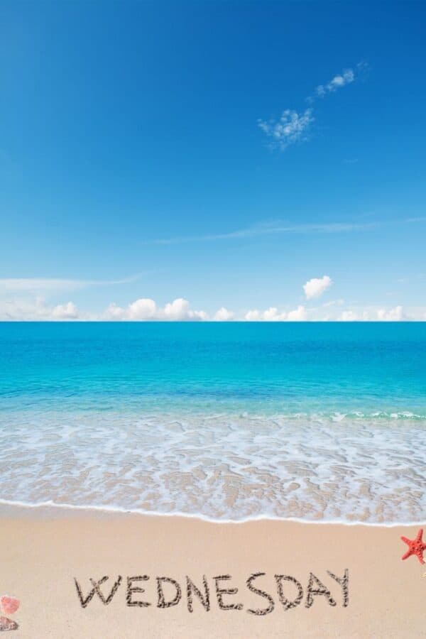 21 FUN Facts About Wednesday That Will Amaze You!