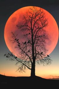 21 FUN Facts About Monday That Will Amaze You!