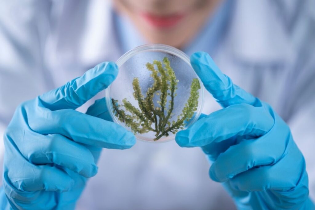 Ultimate Science Facts That You Won't Believe!