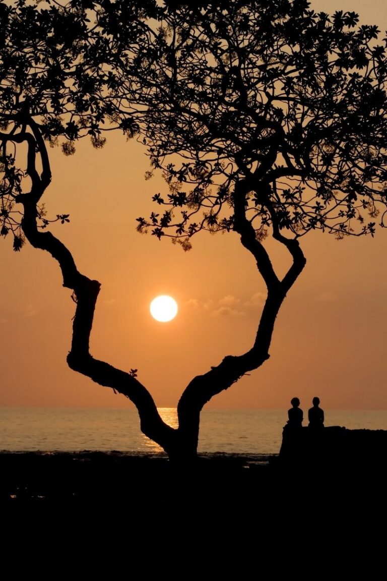 20 FUN Facts About September That Will Amaze You (2024 Facts)