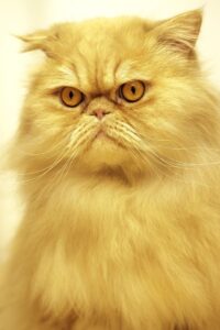 21 FUN Facts About Monday That Will Amaze You!