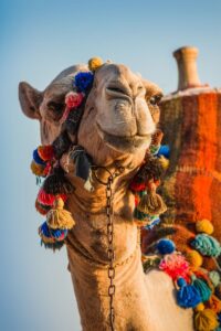 21 FUN Facts About Wednesday That Will Amaze You!