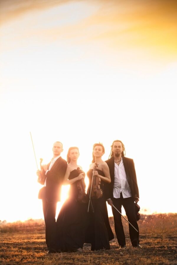 20 FUN Facts About Violins That Will Amaze You!