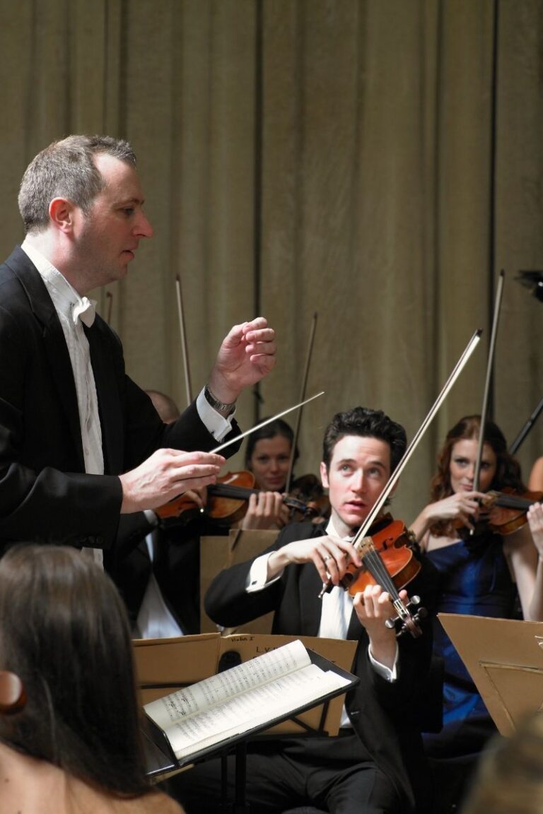 20 FUN Facts About Violins That Will Amaze You!