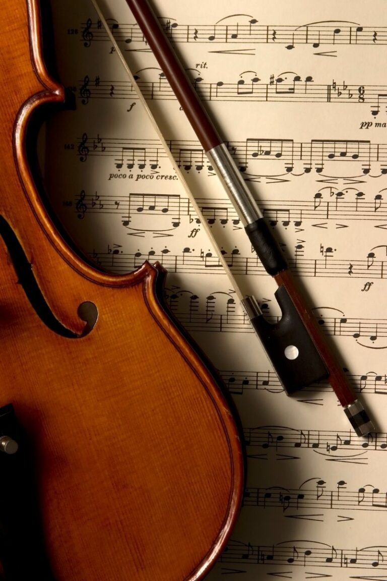 20 FUN Facts About Violins That Will Amaze You!