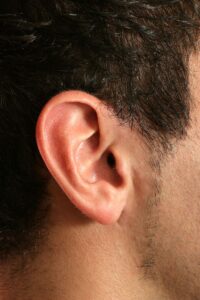20 FUN Facts About Ears That Will Amaze You!
