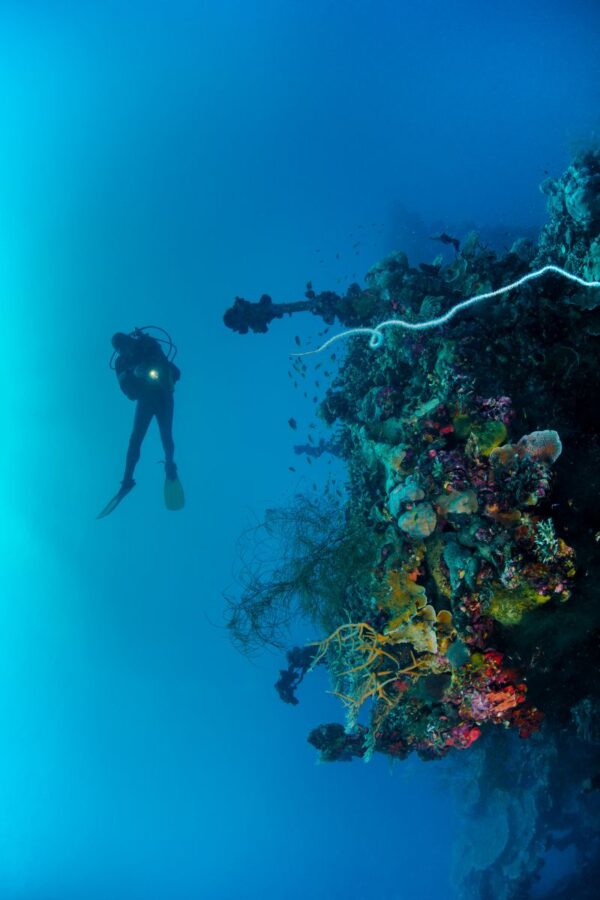 21 FUN Facts About Pearls That Will Amaze You!