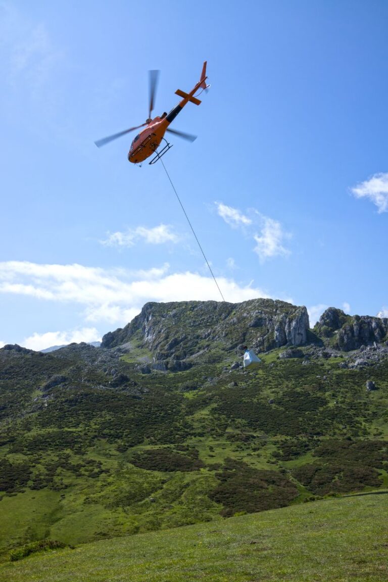 21 Fun Facts About Helicopters That Will Amaze You!