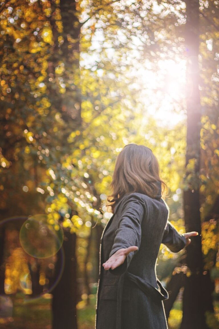 21 FUN Facts About November That Will Amaze You (2024 Facts)