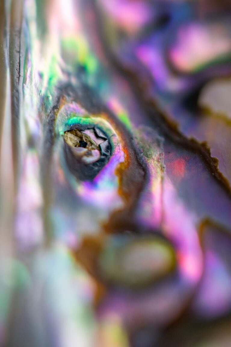 20 FUN Facts About Opals That Will Amaze You!