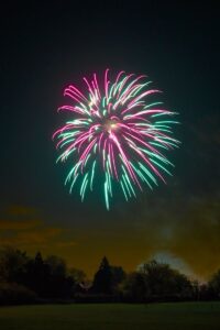 21 FUN Facts About November That Will Amaze You (2024 Facts)