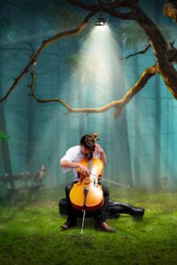19 FUN Facts About Cellos That Will Amaze You!