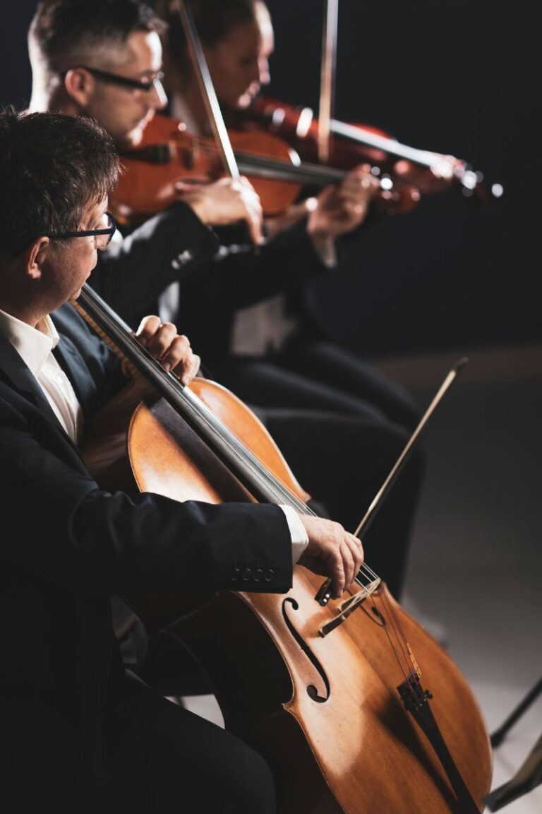 19 FUN Facts About Cellos That Will Amaze You!
