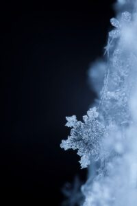 12 FUN Facts About Snowflakes That Will Amaze You!