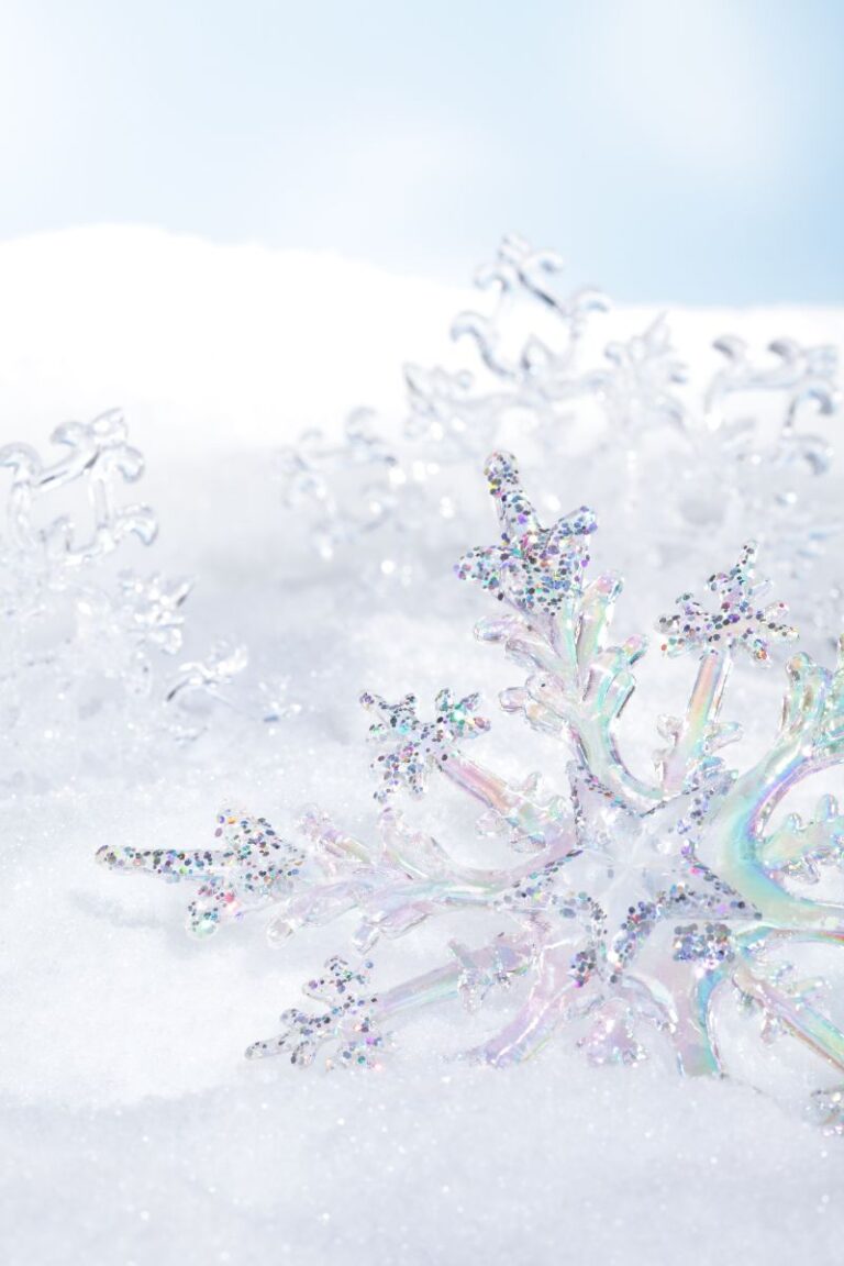 12 FUN Facts About Snowflakes That Will Amaze You!