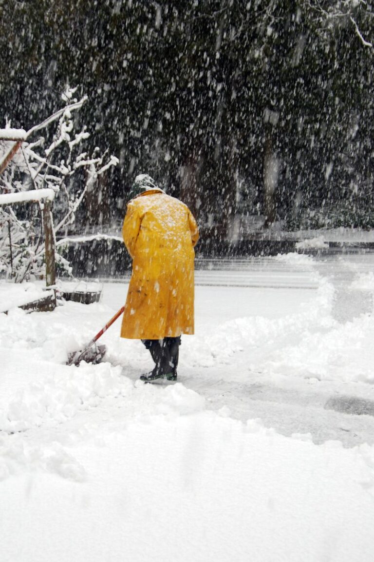 12 FUN Facts About Snowflakes That Will Amaze You!