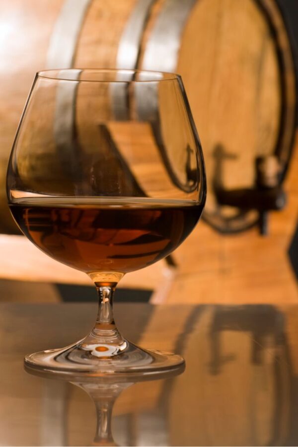 19 FUN Facts About Rum That Will Amaze You!