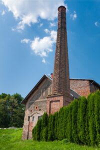 19 FUN Facts About Rum That Will Amaze You!