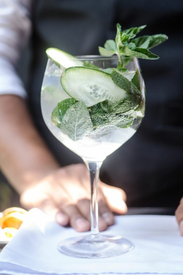 23 FUN Facts About Gin That Will Amaze You!
