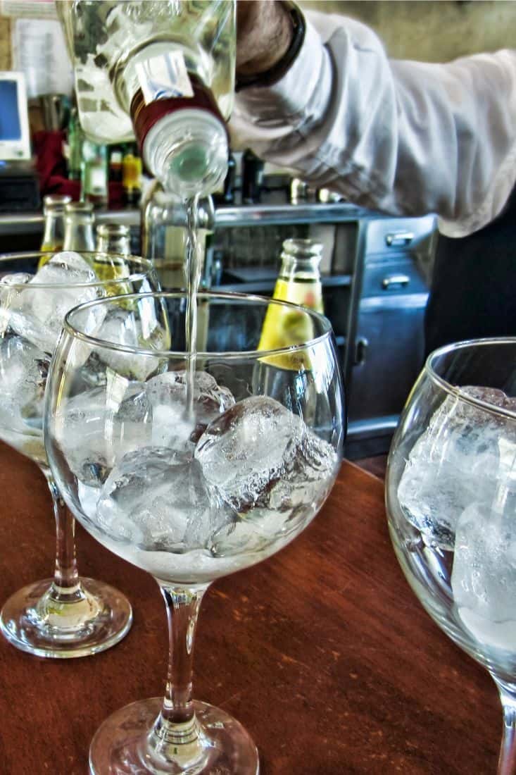 23 FUN Facts About Gin That Will Amaze You!