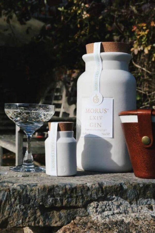 23 FUN Facts About Gin That Will Amaze You!