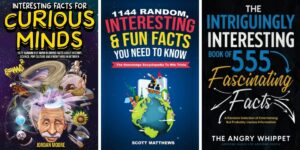 21 FUN Facts About Baseball That Will Amaze You!