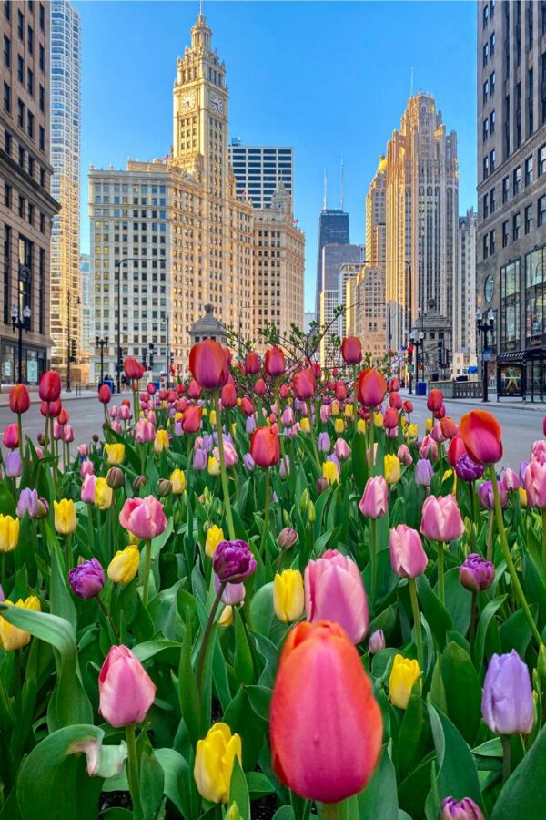 19 FUN Facts About Taurus That Will Amaze You!