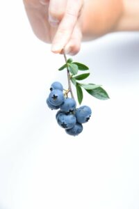 21 FUN Facts About Blueberries That Will Amaze You!