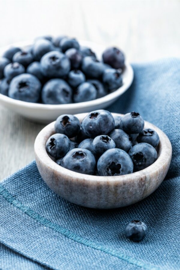 21 FUN Facts About Blueberries That Will Amaze You!