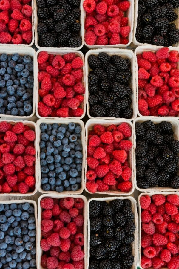 21 FUN Facts About Raspberries That Will Amaze You!